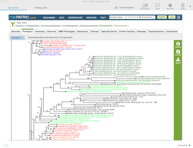 PATRIC Video Tutorial – Phylogenetic Tree Builder | BV-BRC