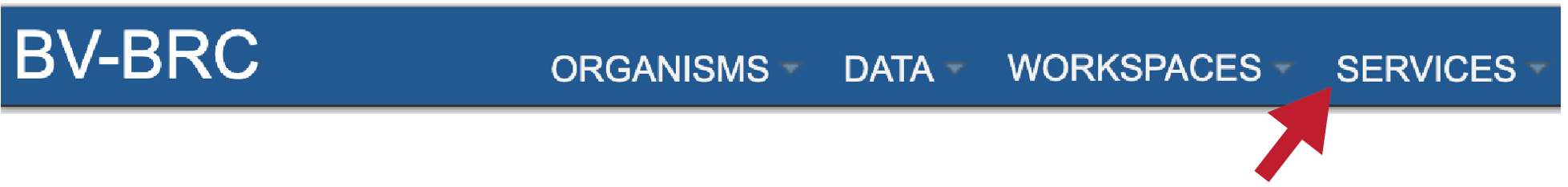 Taxonomic Classification Service — BV-BRC Documentation