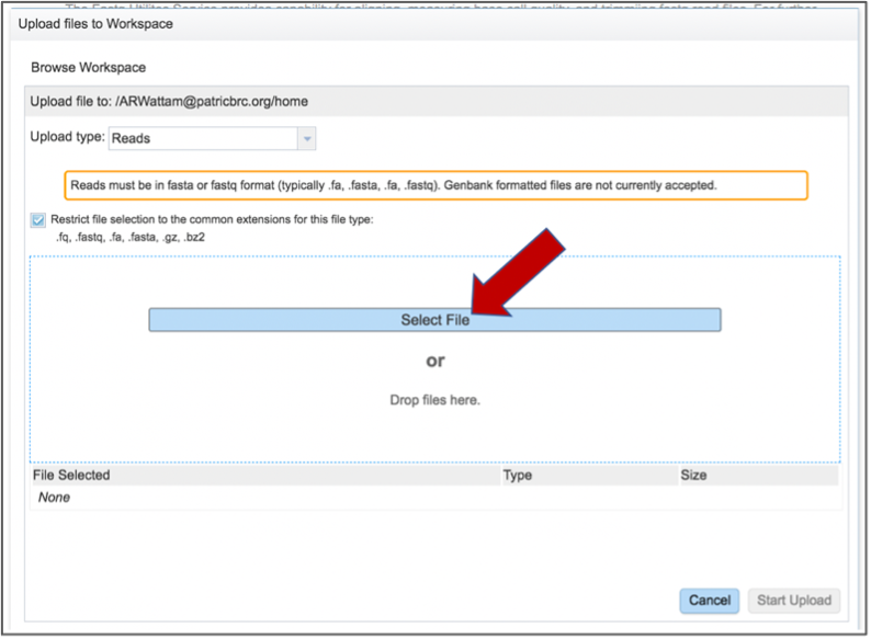 Variation - SNP Analysis Service | BV-BRC